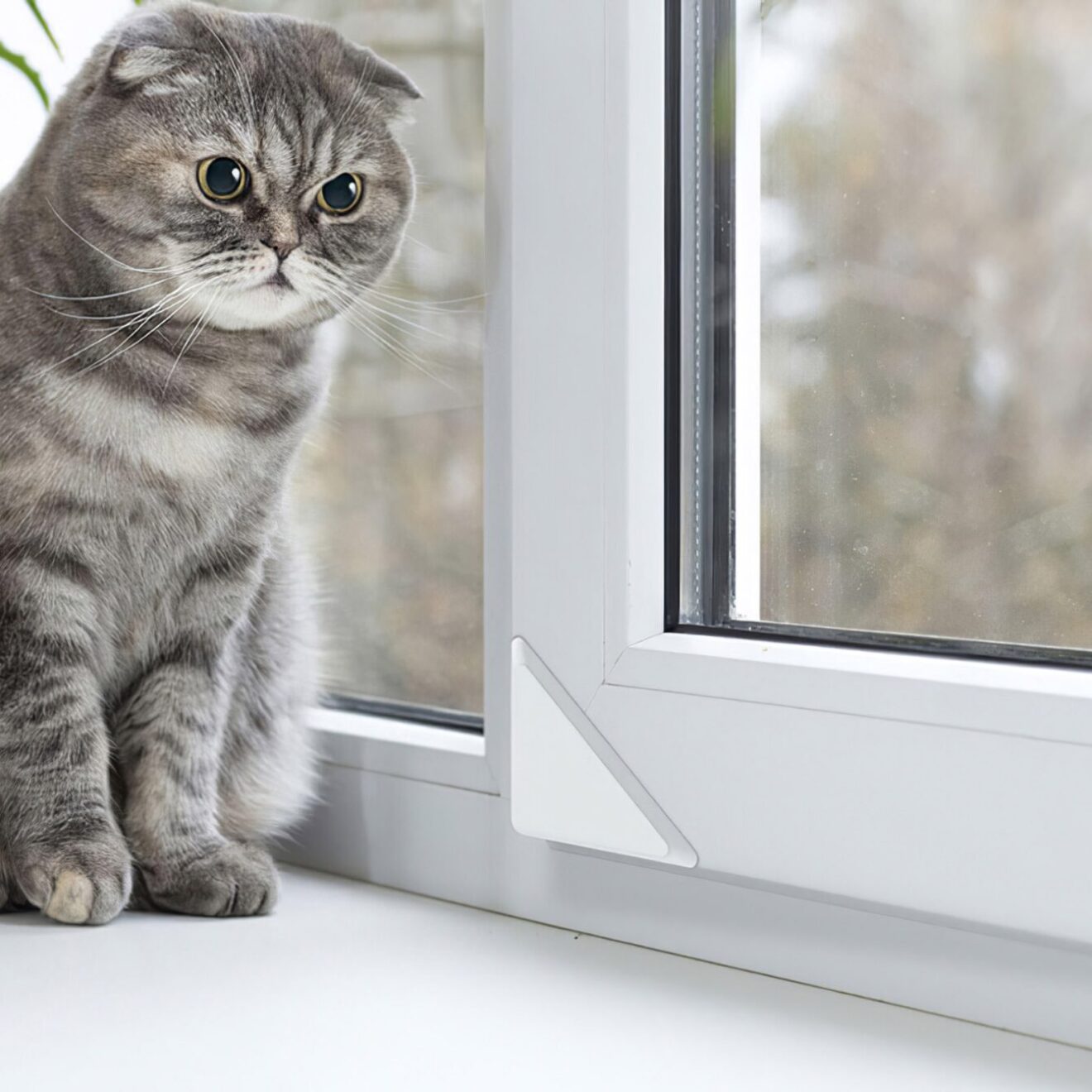 Aeotec Door Window Sensor 6 - Oraxel Solutions